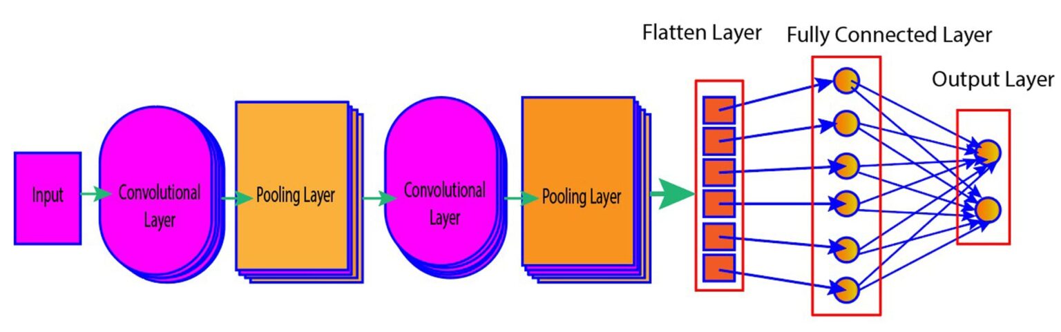The Ultimate Guide to Convolutional Neural Networks for Beginners